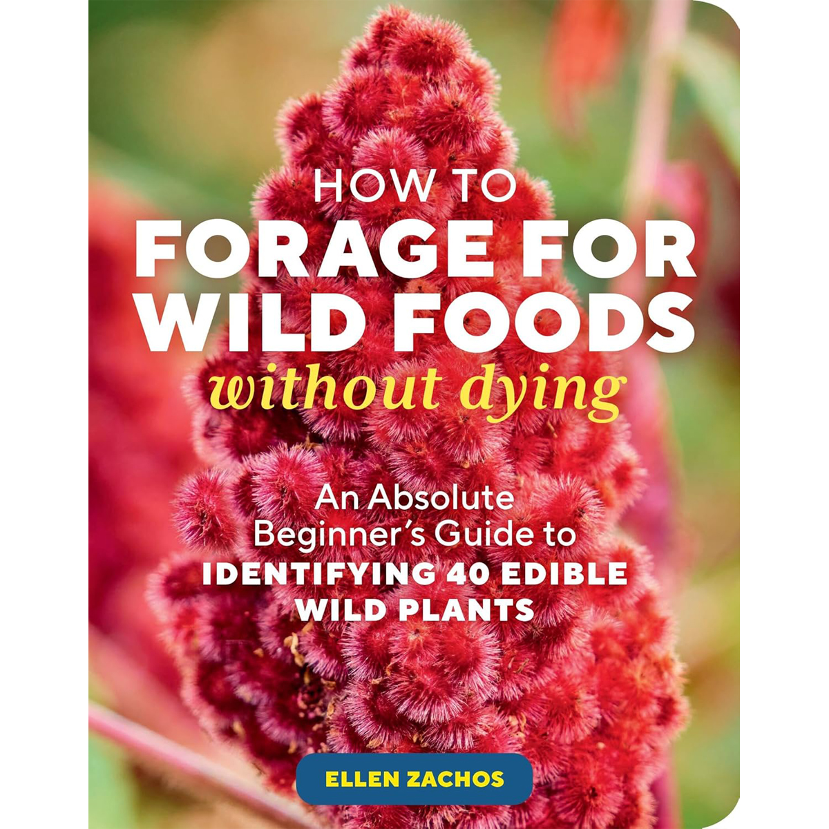 How To Forage For Wild Foods Without Dying | Canadian Outdoor Equipment Co.